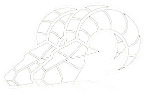 Twin Rams Media Group | Full-Service Digital Marketing Agency